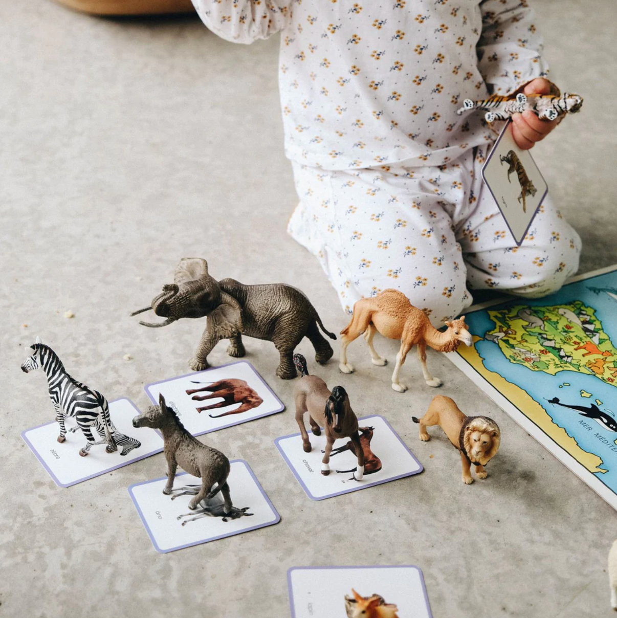 Giga Mondy, cartes de nomenclature Montessori -Observe Montessori – Ma ...